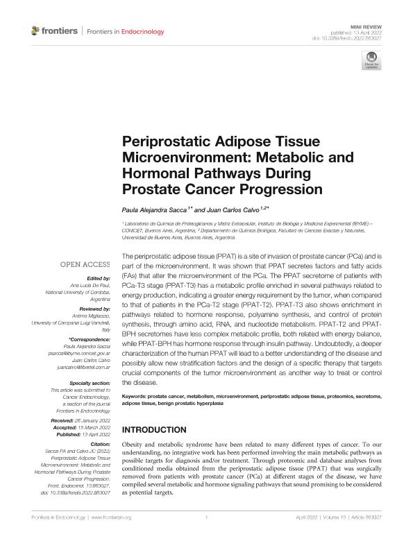Periprostatic adipose tissue microenvironment: metabolic and hormonal ...